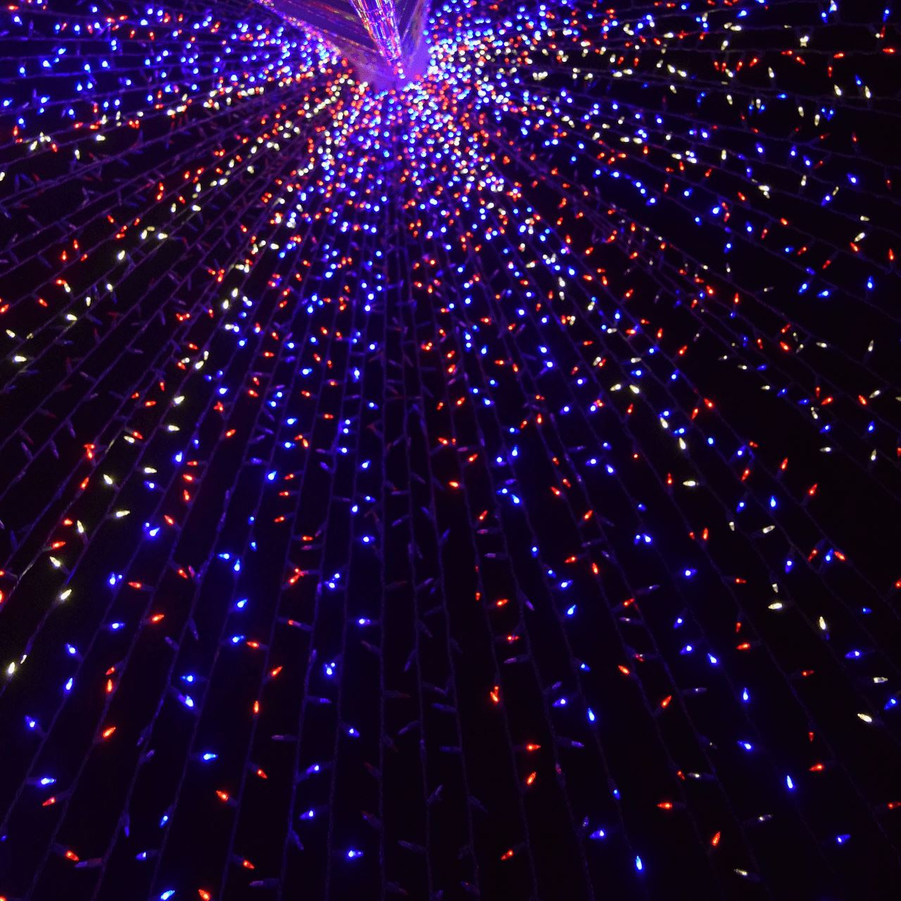 5mm Light Sets — Lights for Christmas