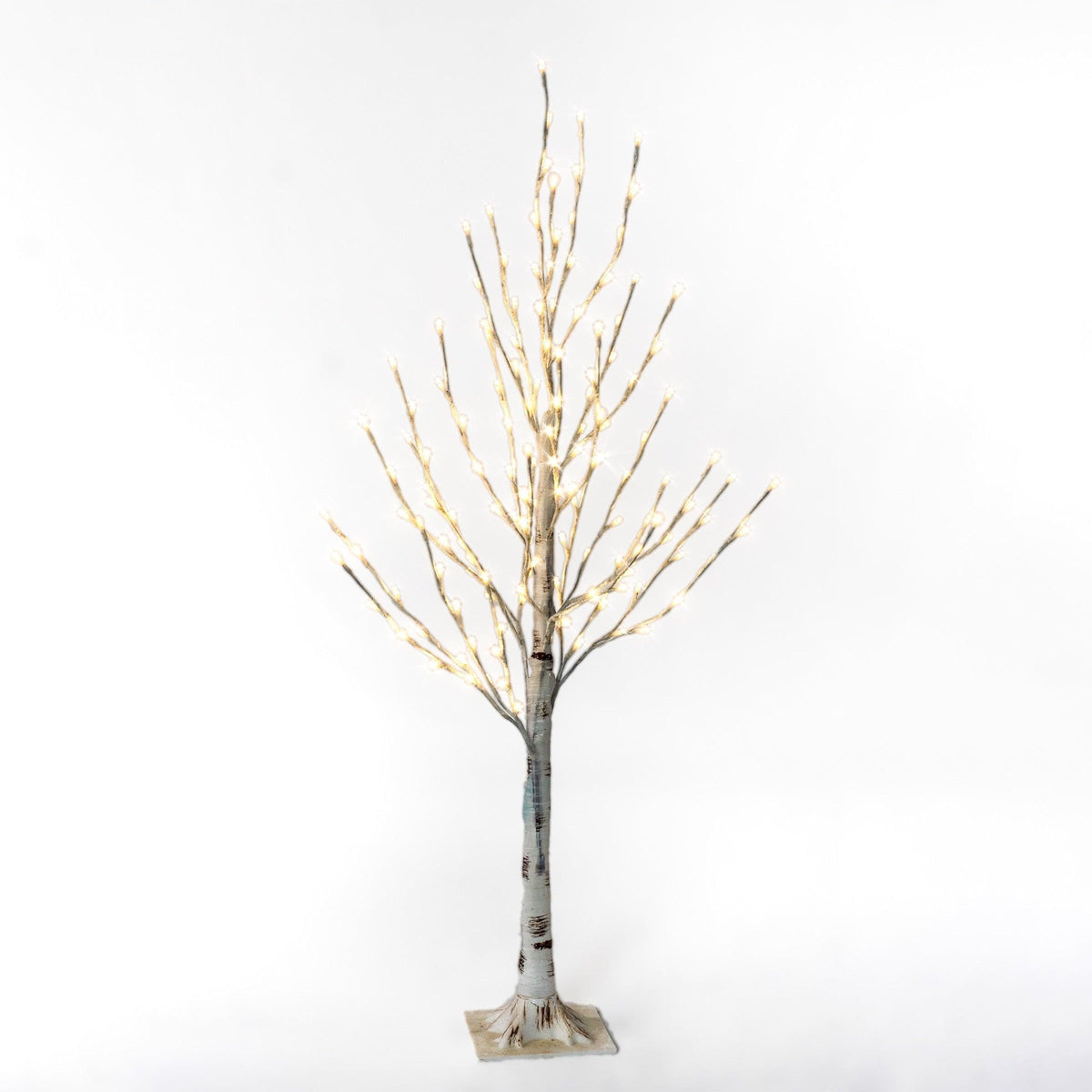 White Birch Tree — Lights for Christmas
