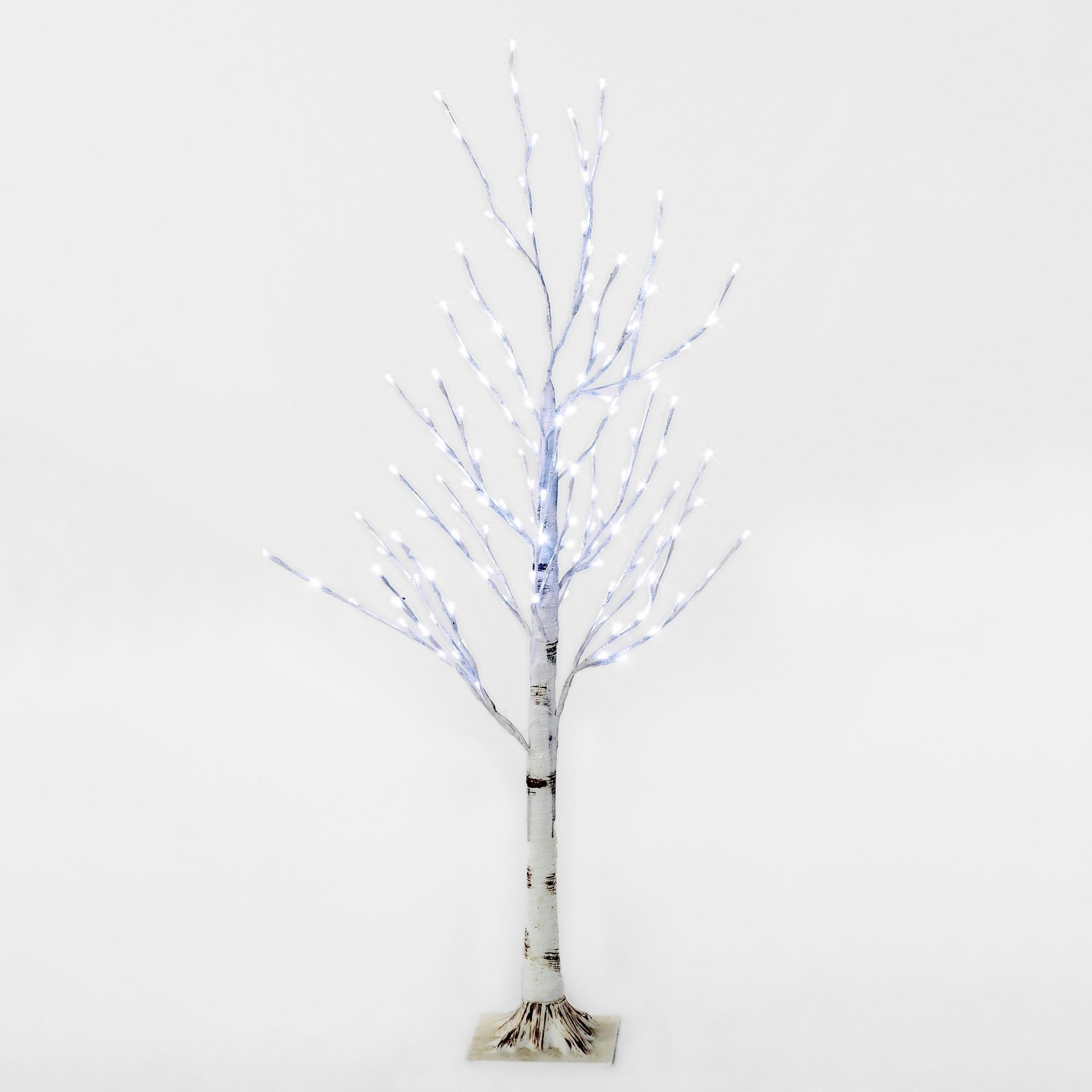 White Birch Tree — Lights for Christmas